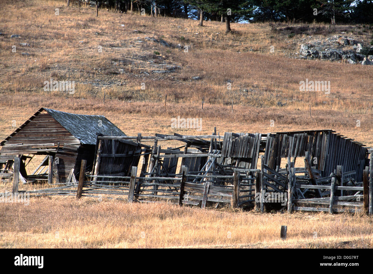 Abandoned Farm, Montana Stock Photo - Alamy
