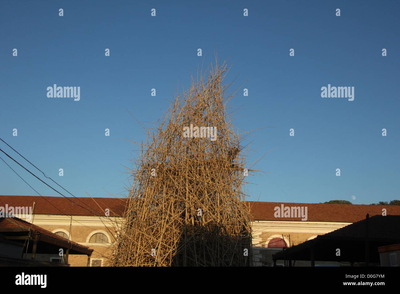 25 Nov 2012 Big Bambu Art Installation by Mike and Doug Starn at MACRO ...