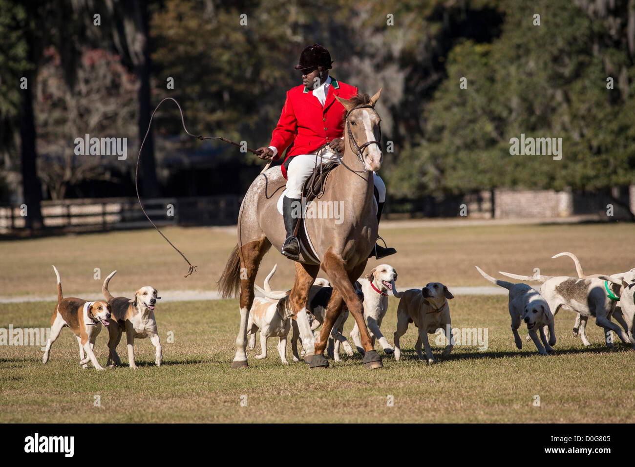Fox hunters gather at Middleton Plantation for the annual Blessing of ...