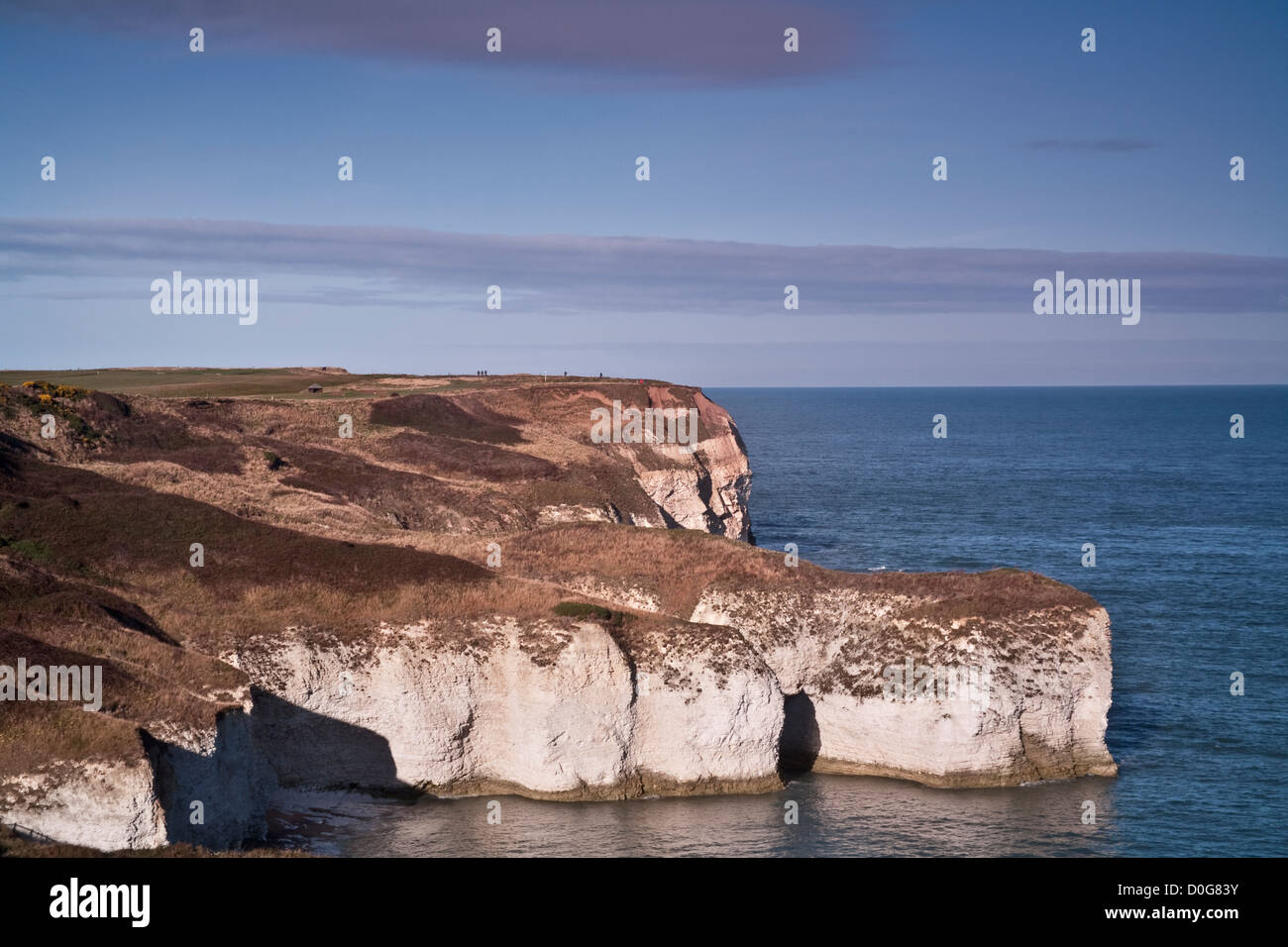 Flamborough Head Cliffs Stock Photo - Alamy