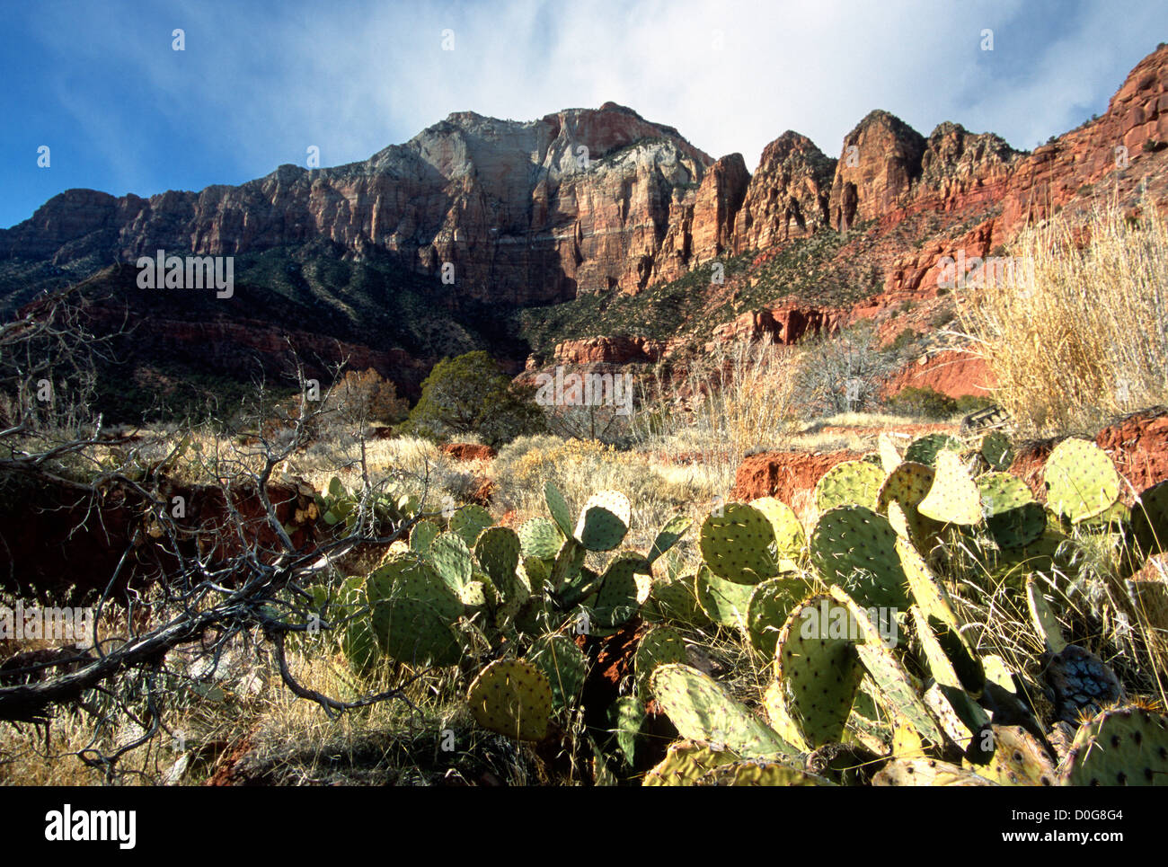 Spring Mountains, Nevada Stock Photo - Alamy