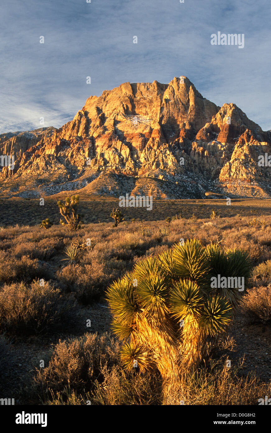 Spring Mountains, Nevada Stock Photo - Alamy