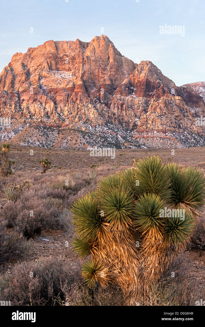 Spring Mountains, Nevada Stock Photo - Alamy