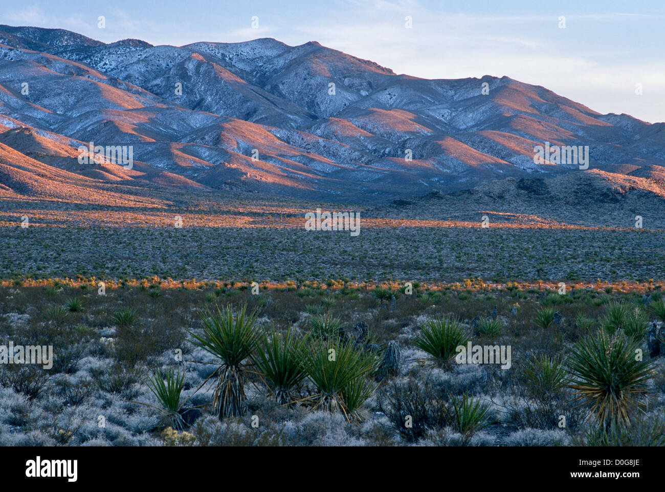 Spring Mountains, Nevada Stock Photo - Alamy