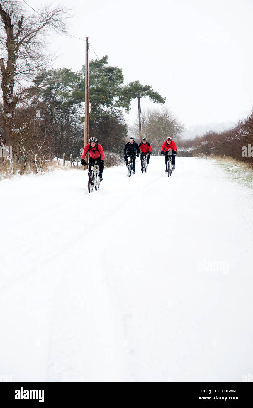 Four cyclist cycling through the snow down a lane in the winter Stock ...