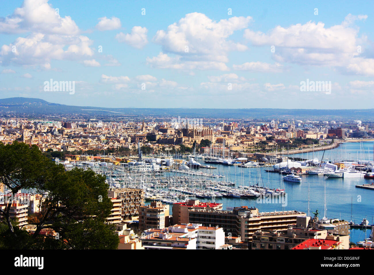 Buildings of palma de mallorca hi-res stock photography and images - Alamy