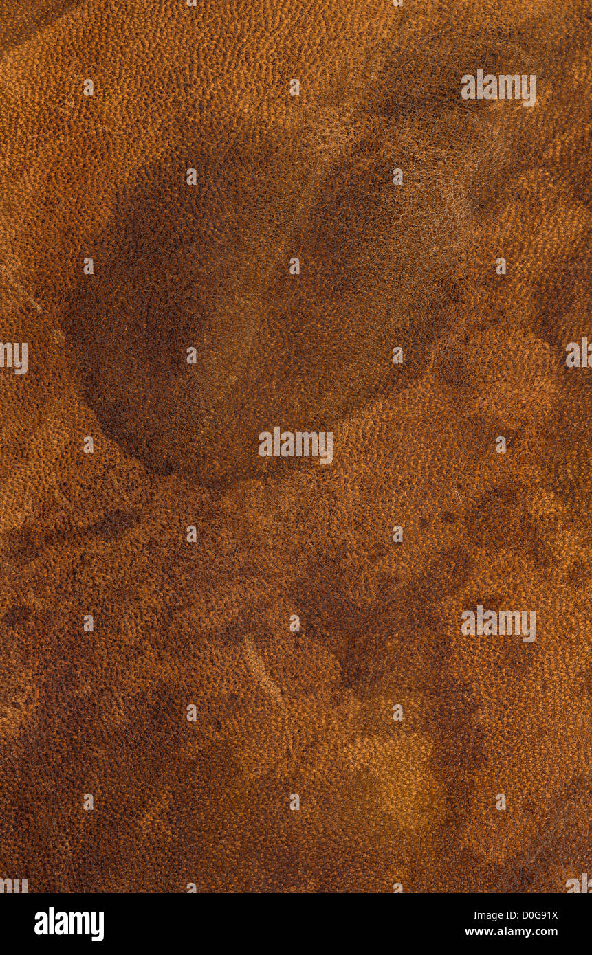 Mottled texture hi-res stock photography and images - Alamy