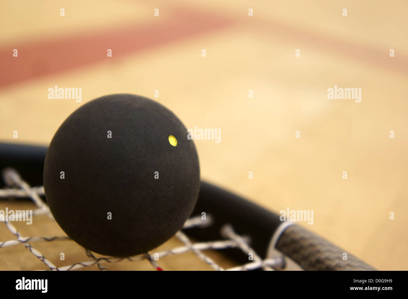 Squash ball on a racket Stock Photo - Alamy