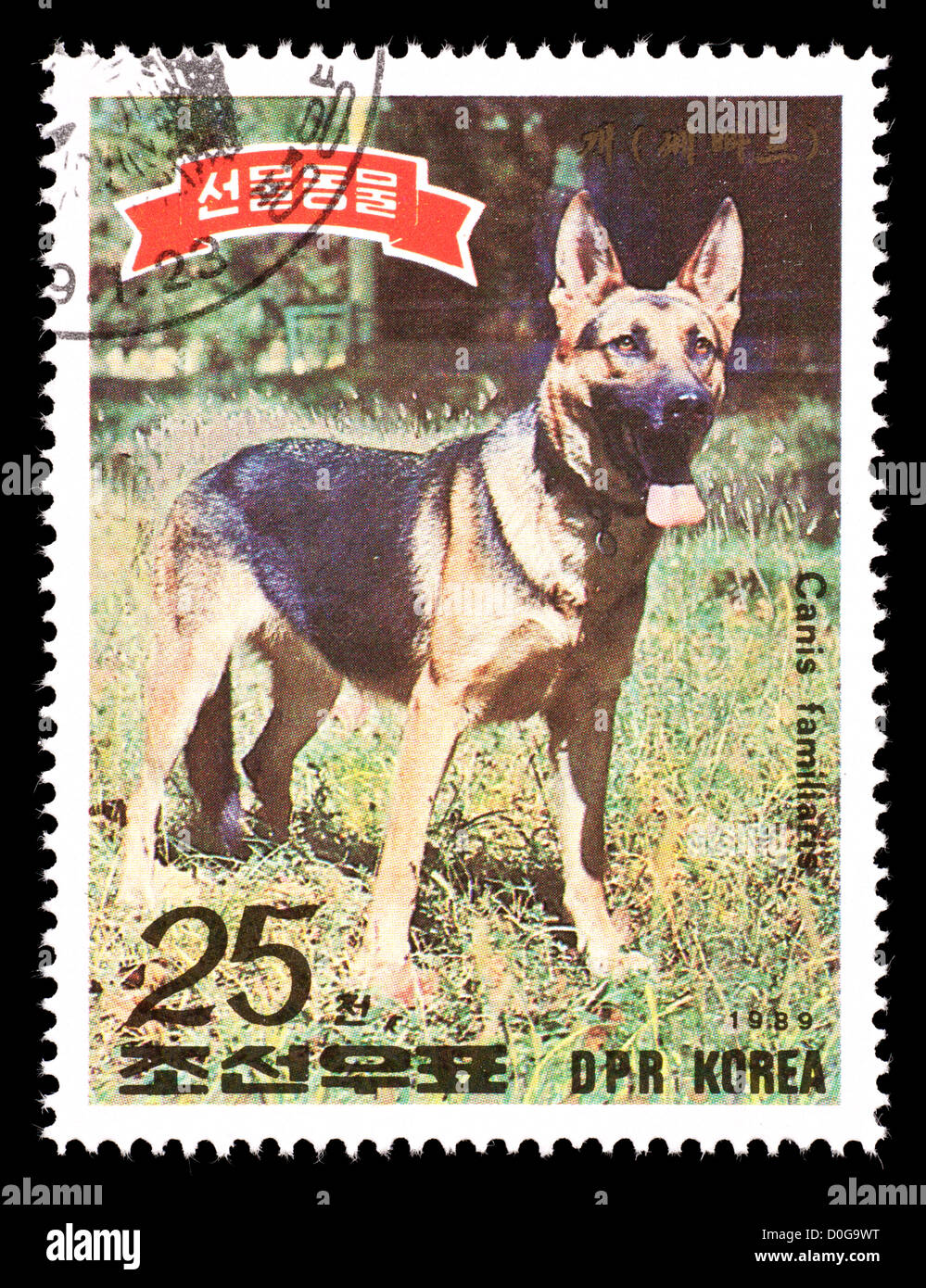Postage stamp from North Korea depicting a German Shepherd dog Stock ...