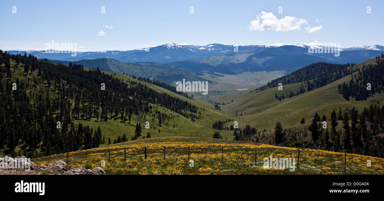 National Bison Range, Montana Stock Photo - Alamy