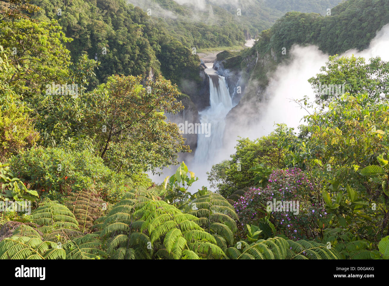 San Rafael Falls The Largest Waterfall In Ecuador Stock Photo - Alamy
