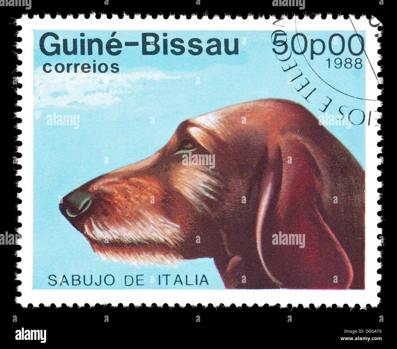 Postage stamp from Guinea-Bissau depicting Sabujo dog breed Stock Photo ...