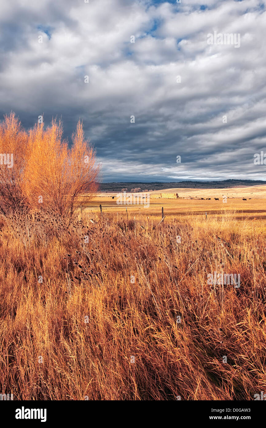 Baker city oregon hi-res stock photography and images - Alamy