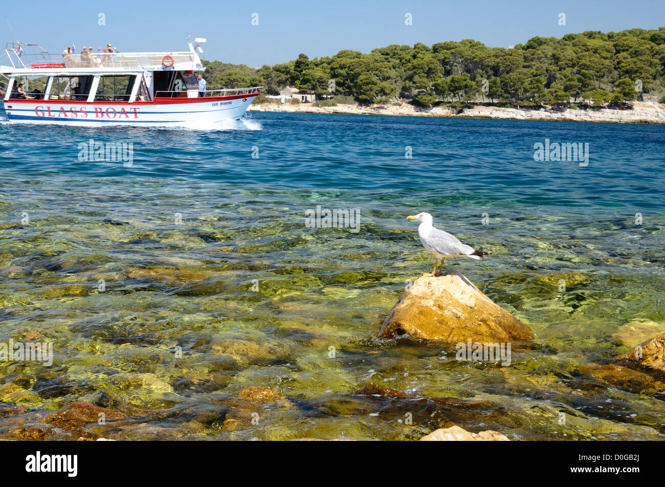 Red Island is one of the most beautiful of the Rovinji archipelago ...