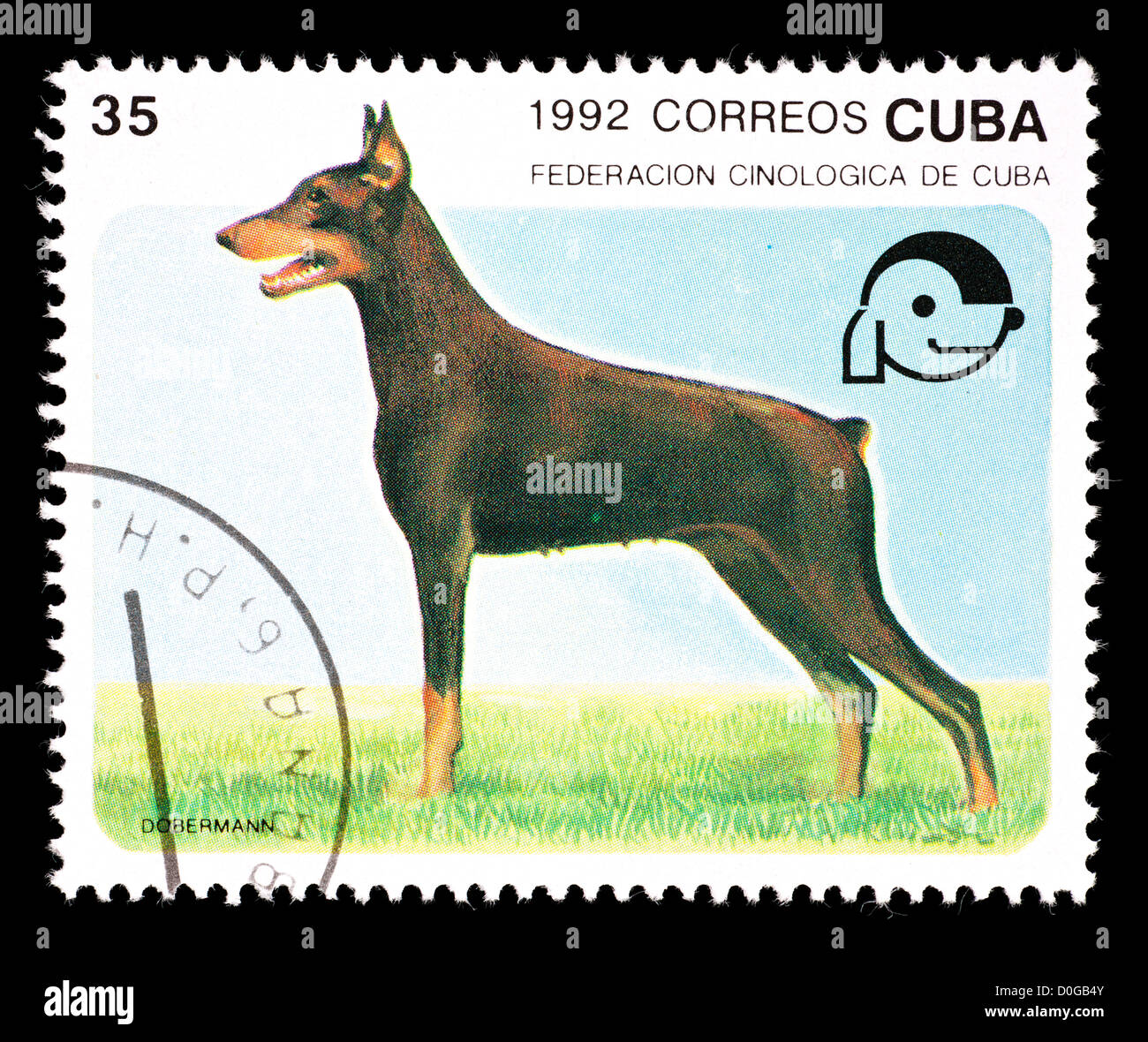 Postage stamp from Cuba depicting a Doberman Pinscher (dog breed Stock ...