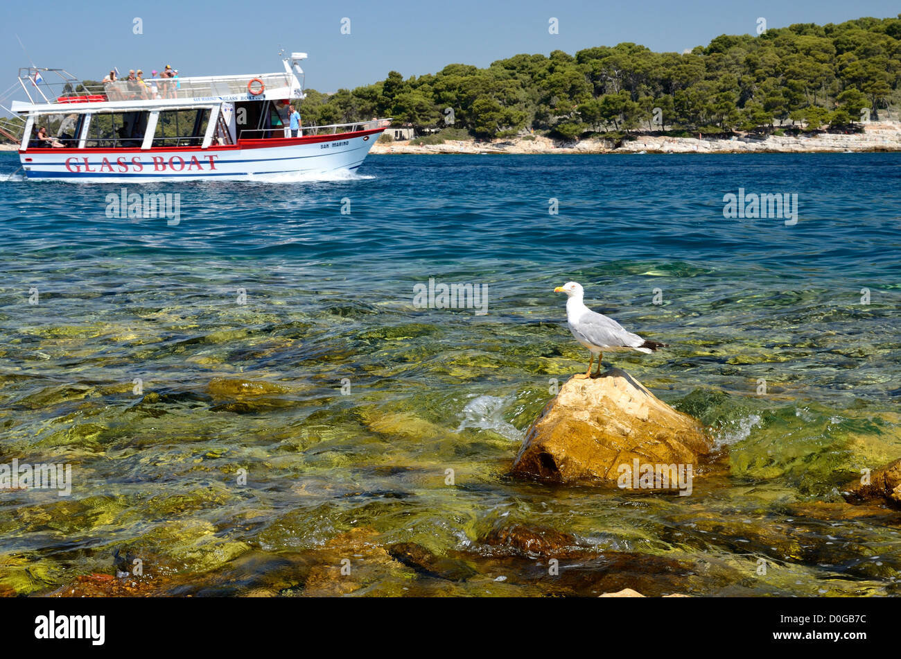 Red Island is one of the most beautiful of the Rovinji archipelago ...