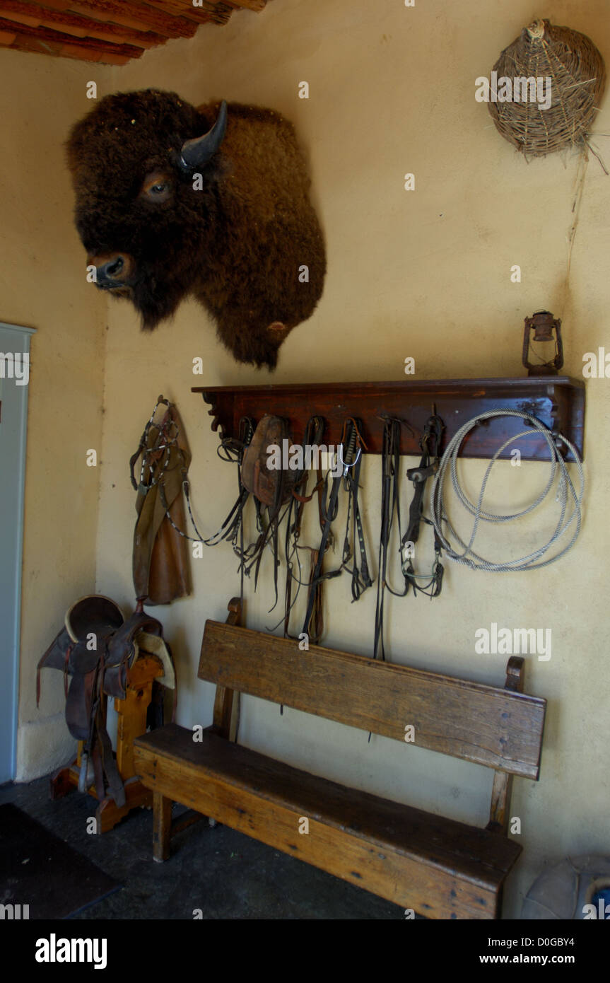 Mounted buffalo and ranching tools at The Gage Hotel in Marathon Texas ...