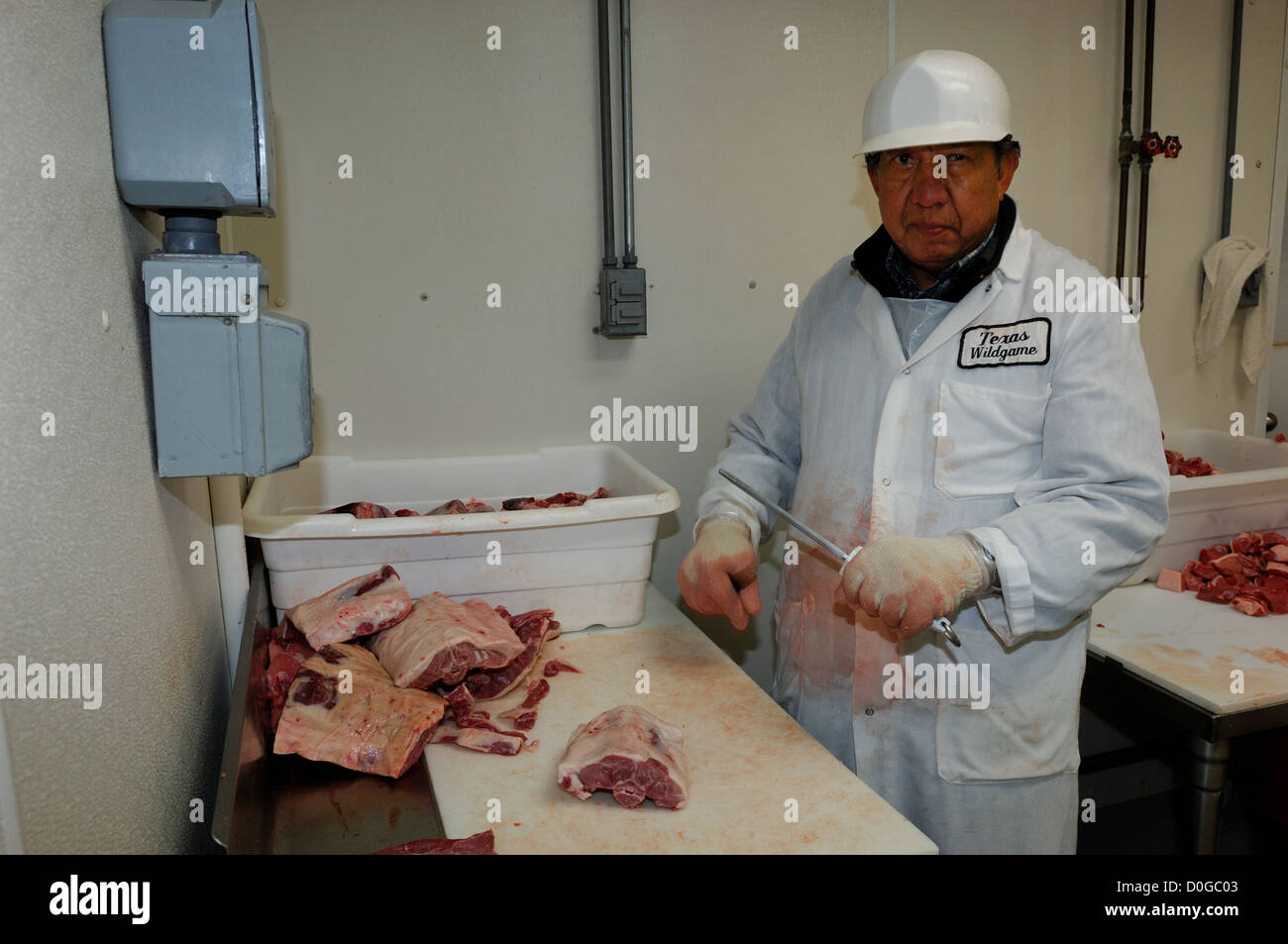 Boar hunting arrow hi-res stock photography and images - Alamy