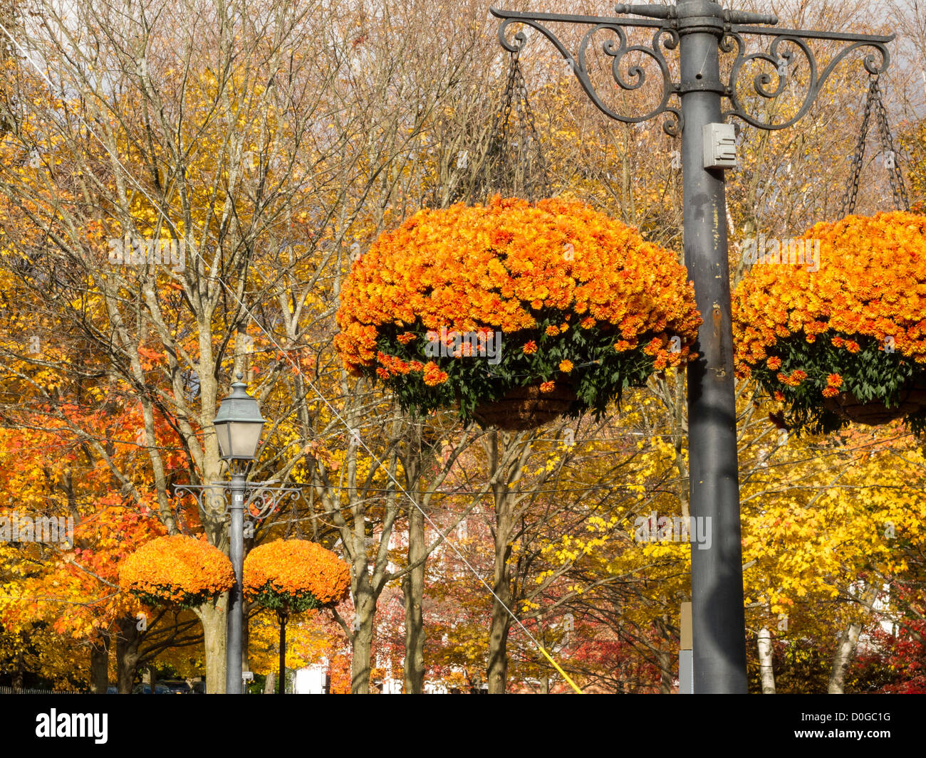 Autumn Flower Pots On Streetlamps and Foliage, Main Street, Cooperstown ...