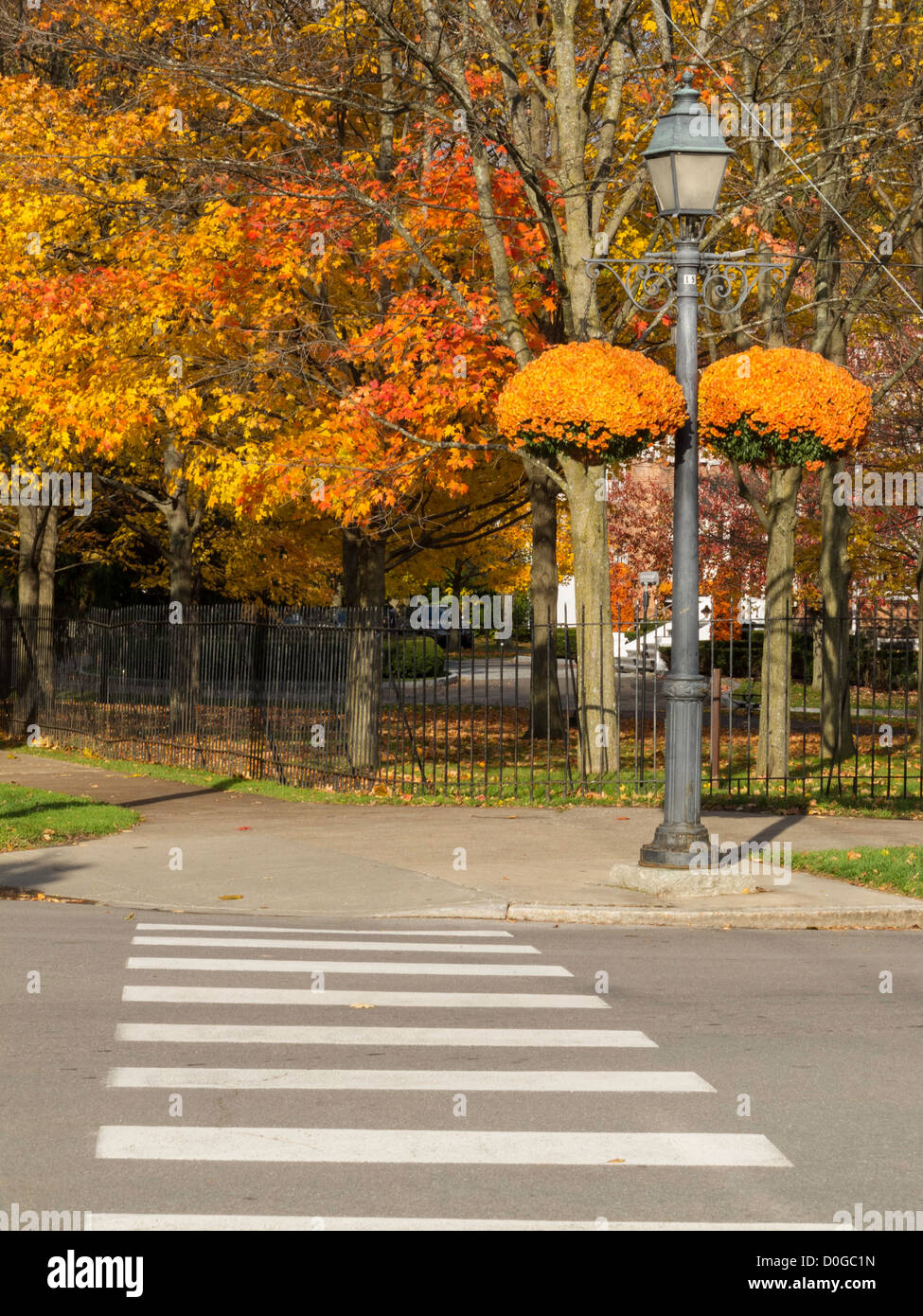 Autumn Flower Pots On Street Lamps and Foliage, Main Street ...