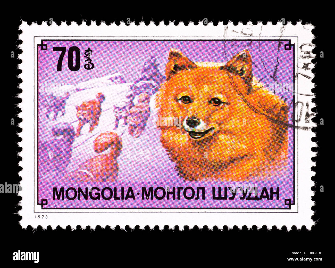 Postage stamp from Mongolia depicting a Samoyed dog and dog team Stock ...