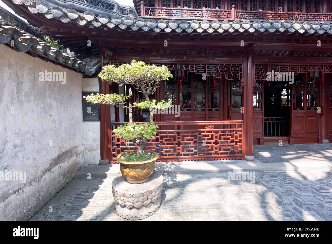 Manicured tree inside Yuyuan Garden Stock Photo - Alamy