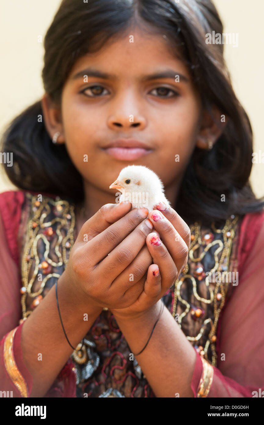 Indian pet birds hi-res stock photography and images - Alamy