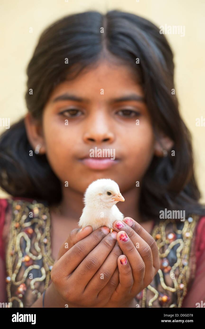 Chicken rural india hi-res stock photography and images - Alamy