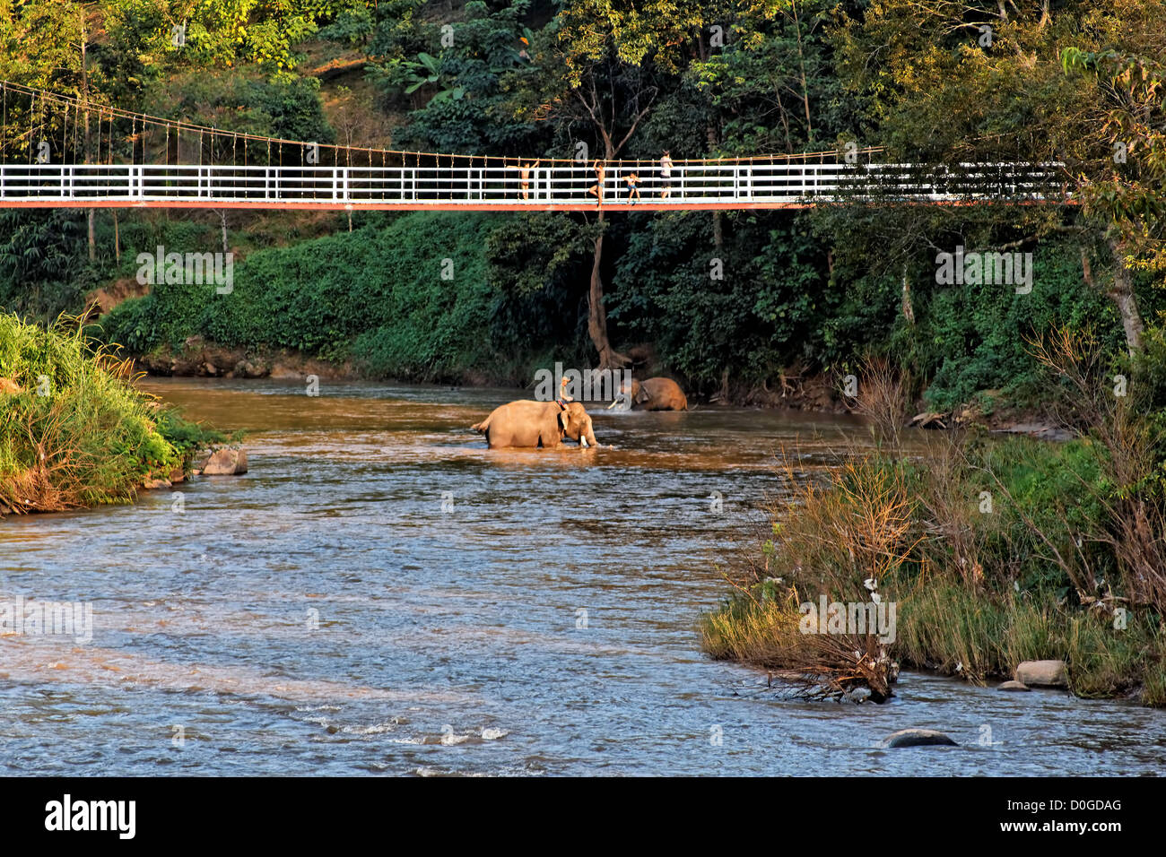 Mae Taeng River Adventures Stock Photo - Alamy