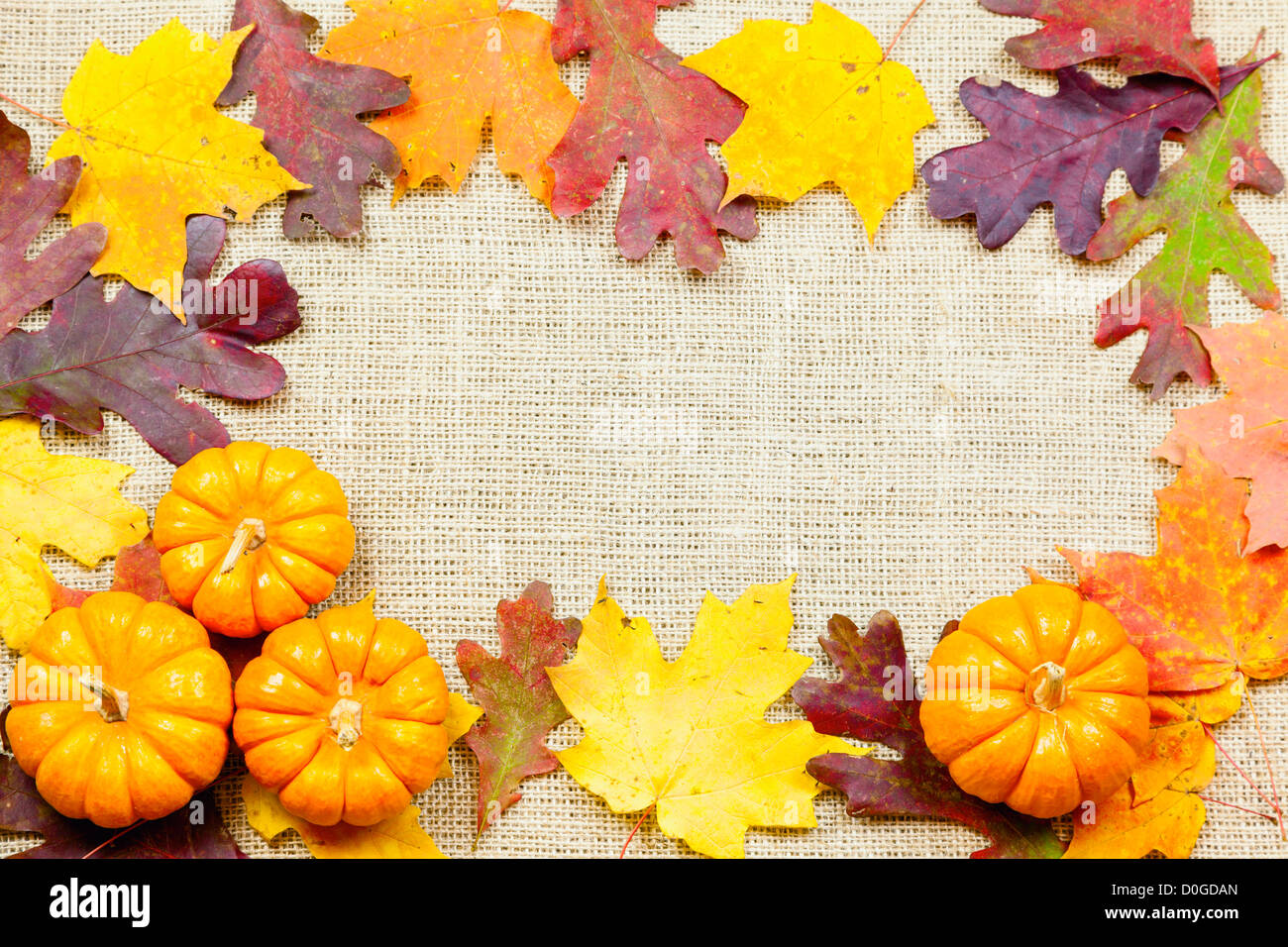 Gourd with rough texture hi-res stock photography and images - Alamy