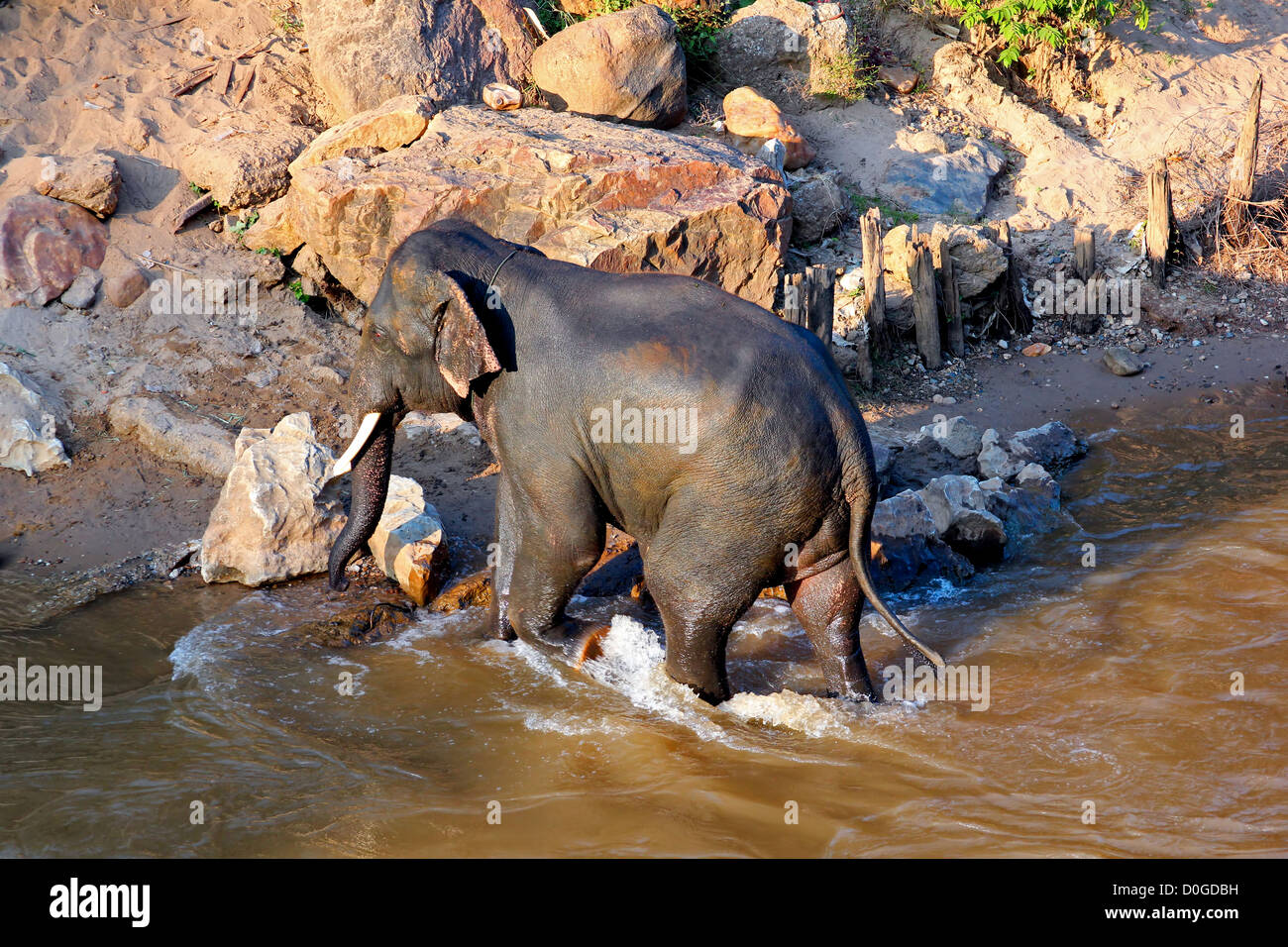 Mae Taeng River Adventures Stock Photo - Alamy