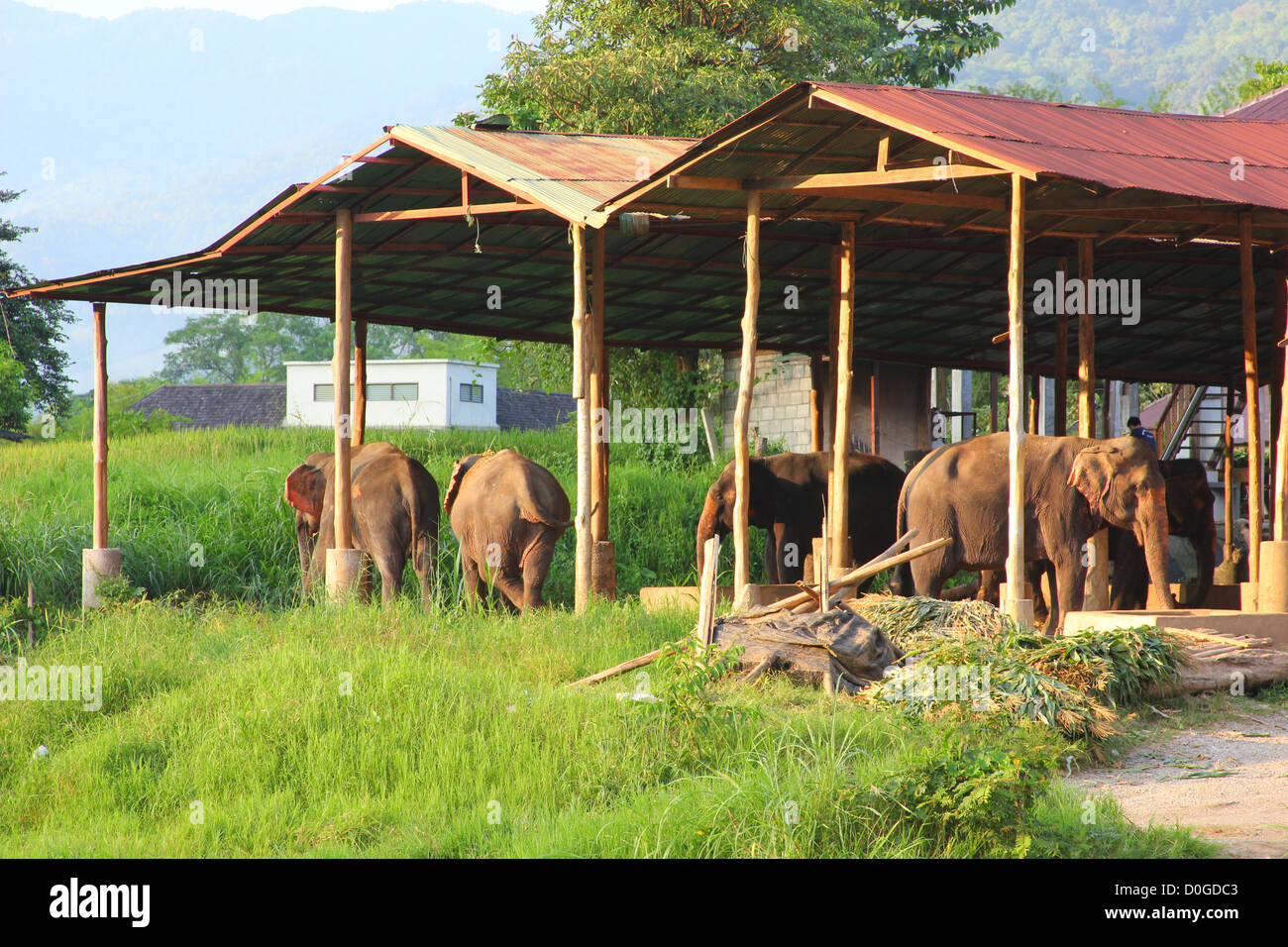 Mae Taeng River Adventures Stock Photo - Alamy