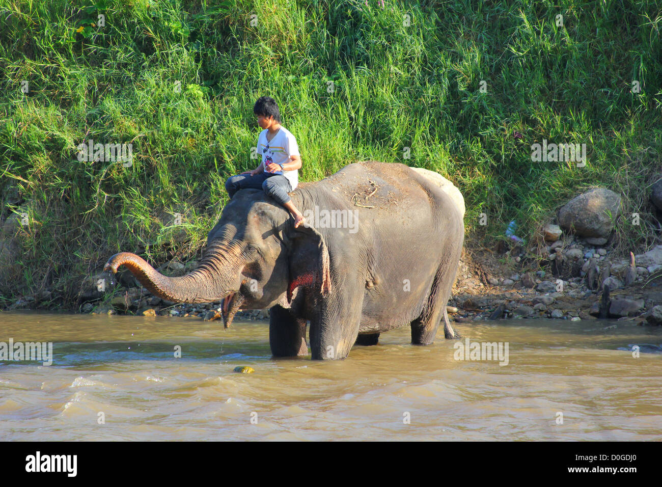 Mae Taeng River Adventures Stock Photo - Alamy