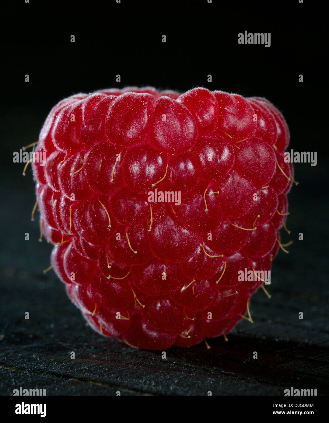 Macro of a single raspberry, black background Stock Photo - Alamy