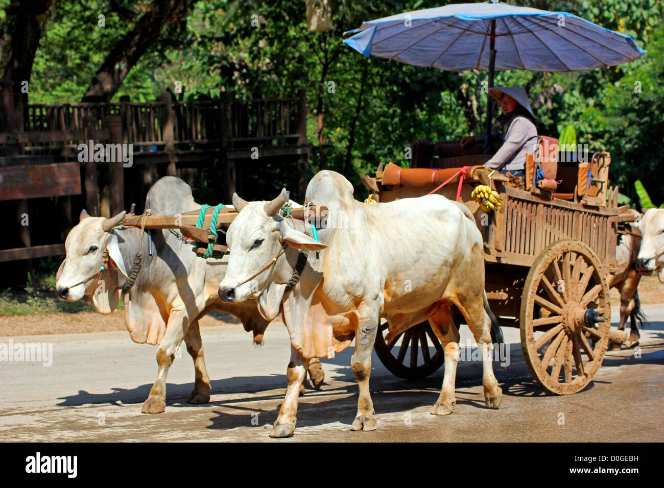 Mae Taeng River Adventures Stock Photo - Alamy