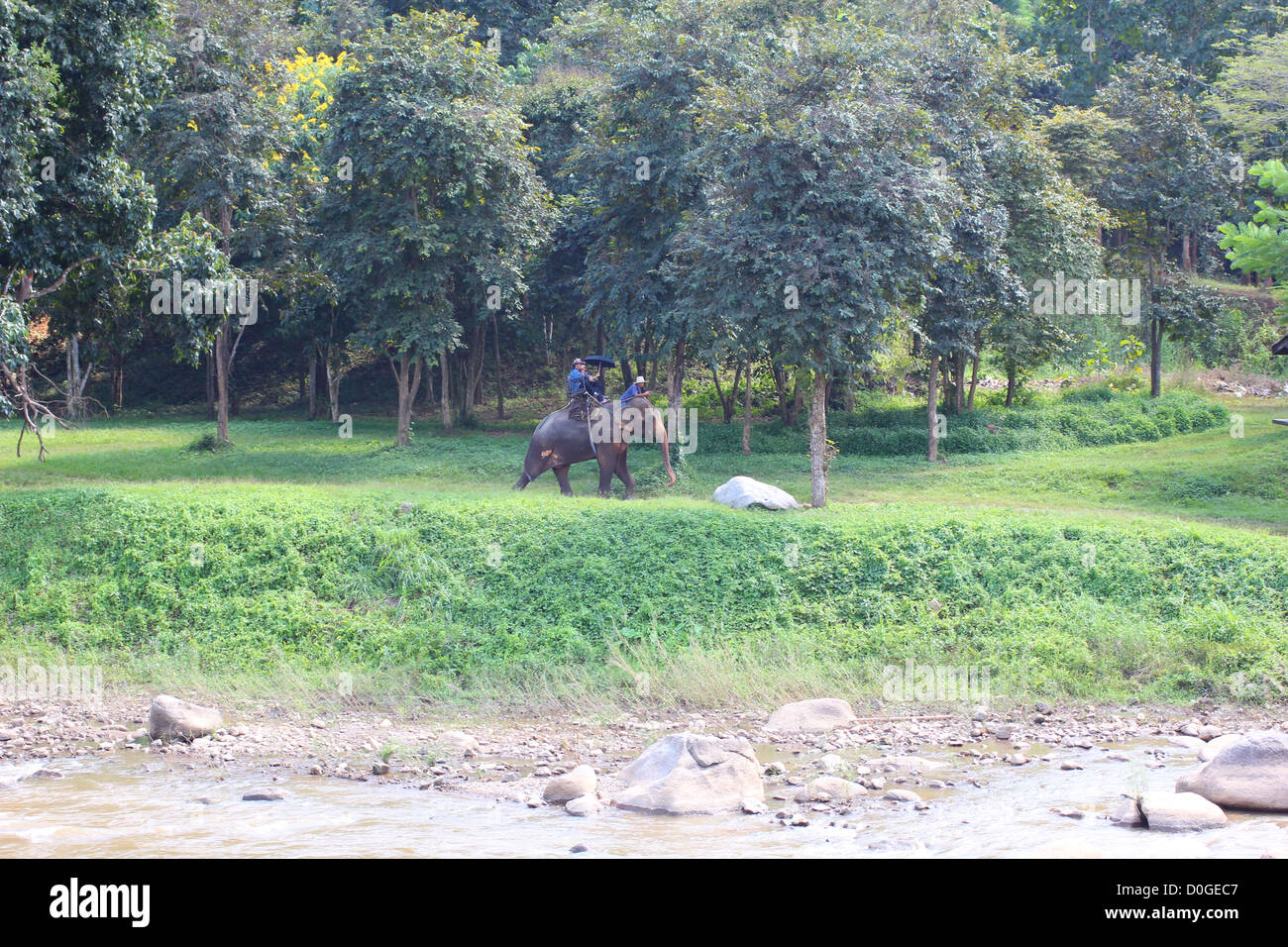 Mae Taeng River Adventures Stock Photo - Alamy