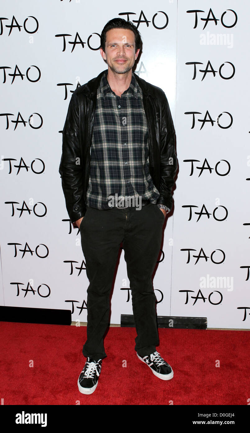 Ashley hamilton hi-res stock photography and images - Alamy