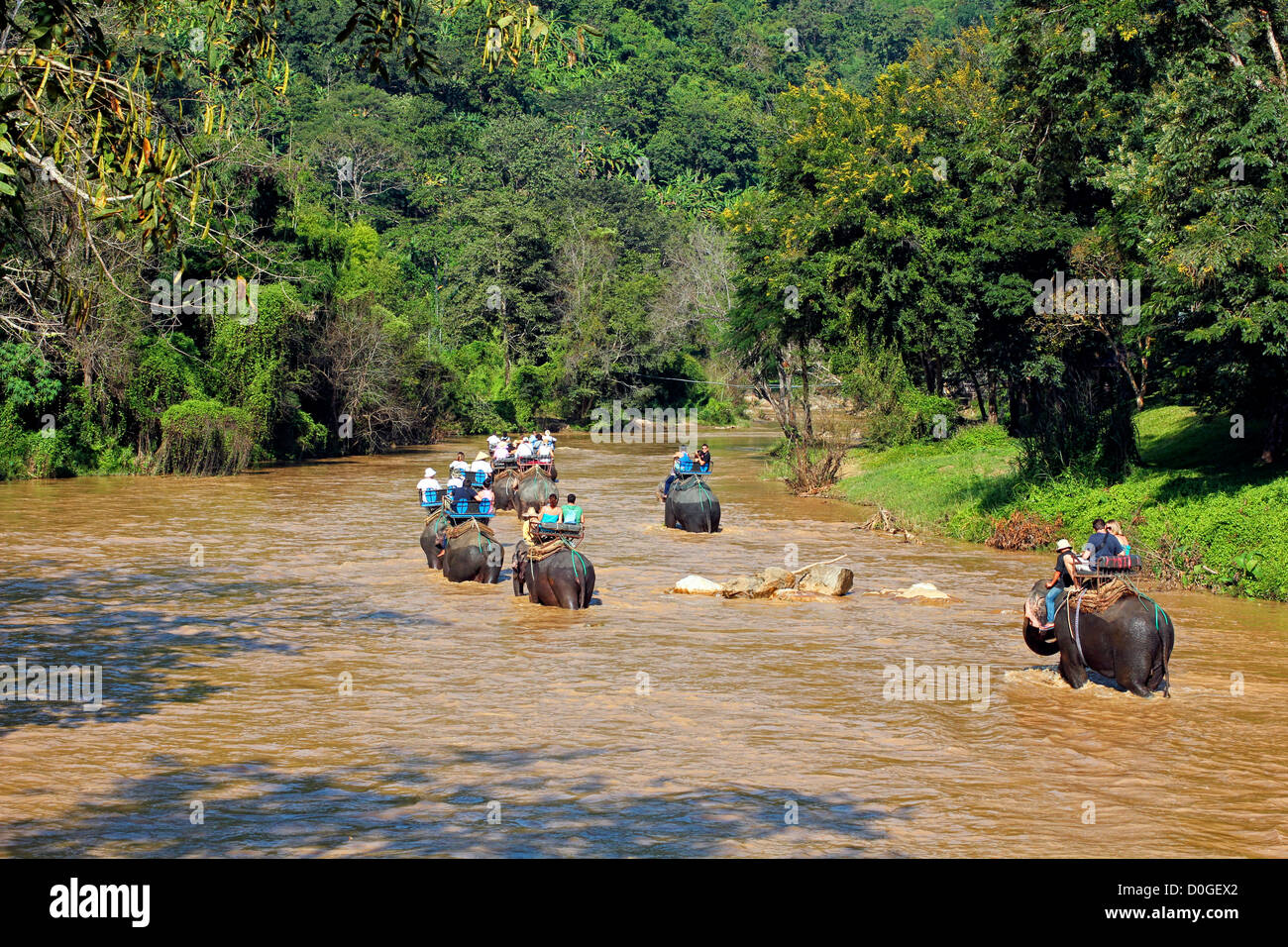 Mae Taeng River Adventures Stock Photo - Alamy