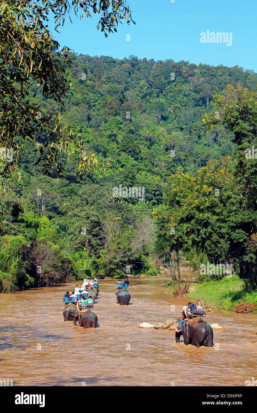 Mae Taeng River Adventures Stock Photo - Alamy