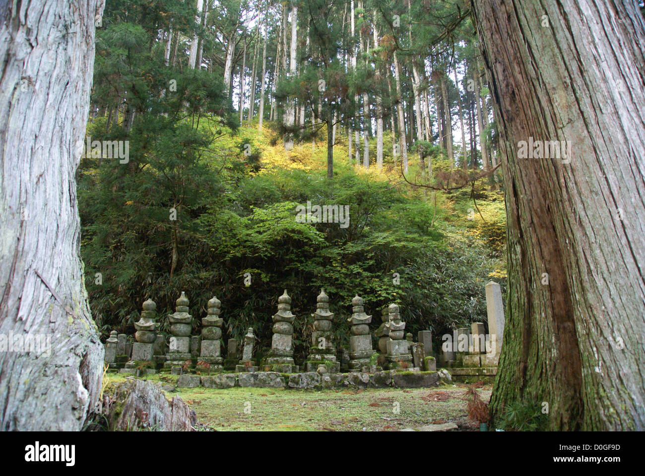 Mount Koya (Koya San), Japan Stock Photo - Alamy