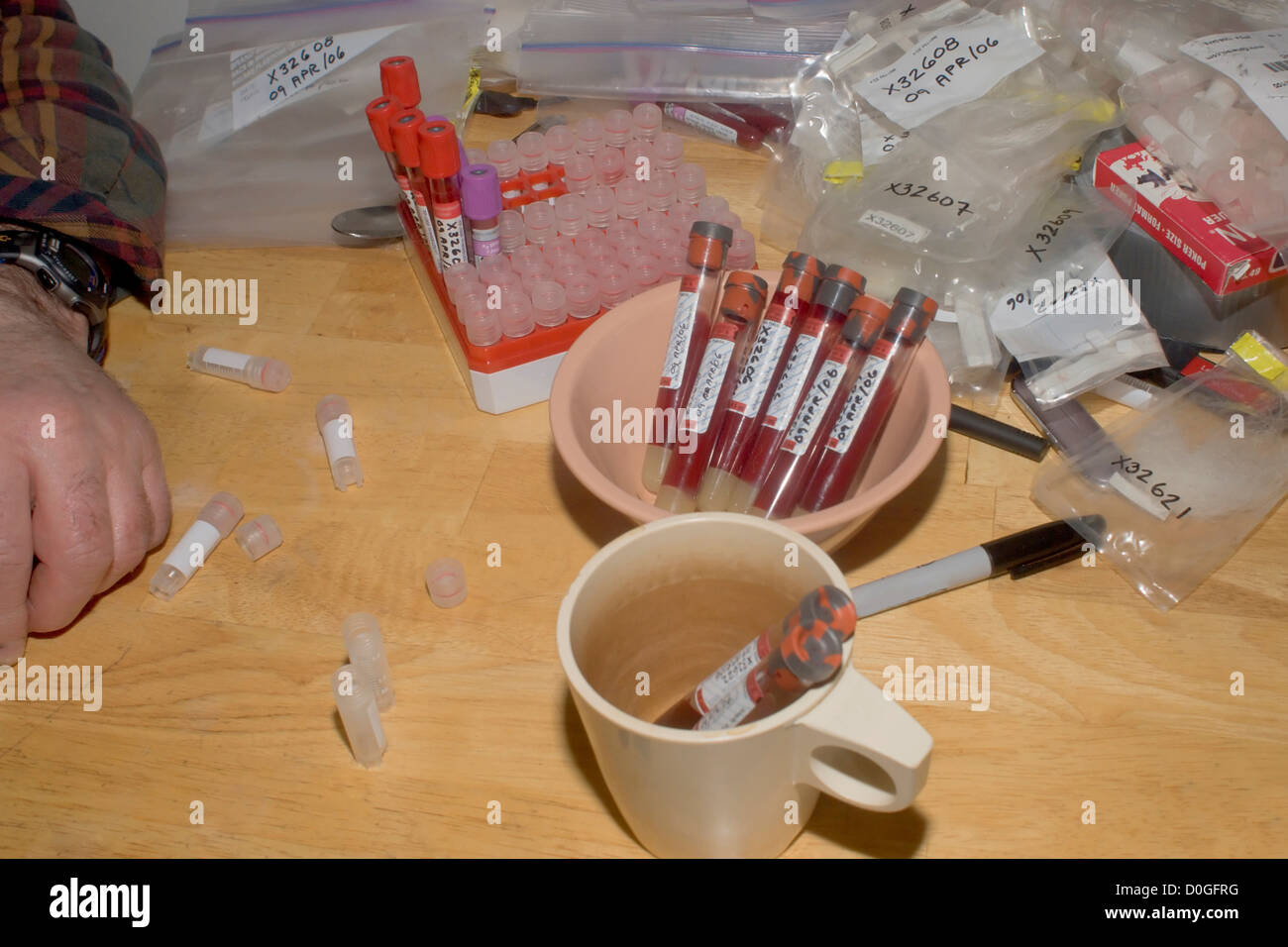 Canada polar bear research hi-res stock photography and images - Alamy