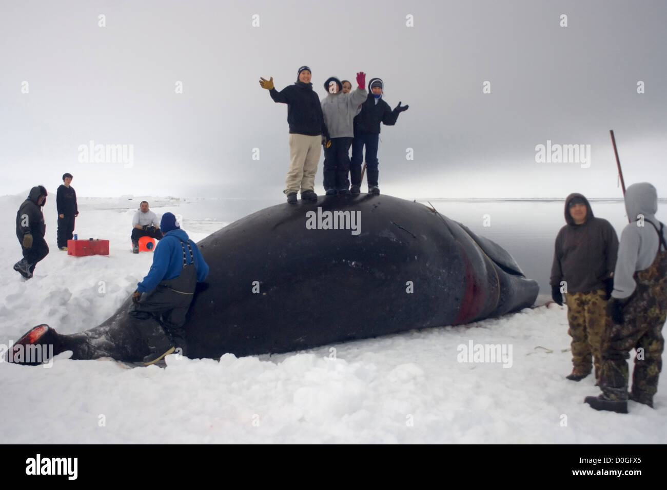 Indigenous whaling hi-res stock photography and images - Alamy