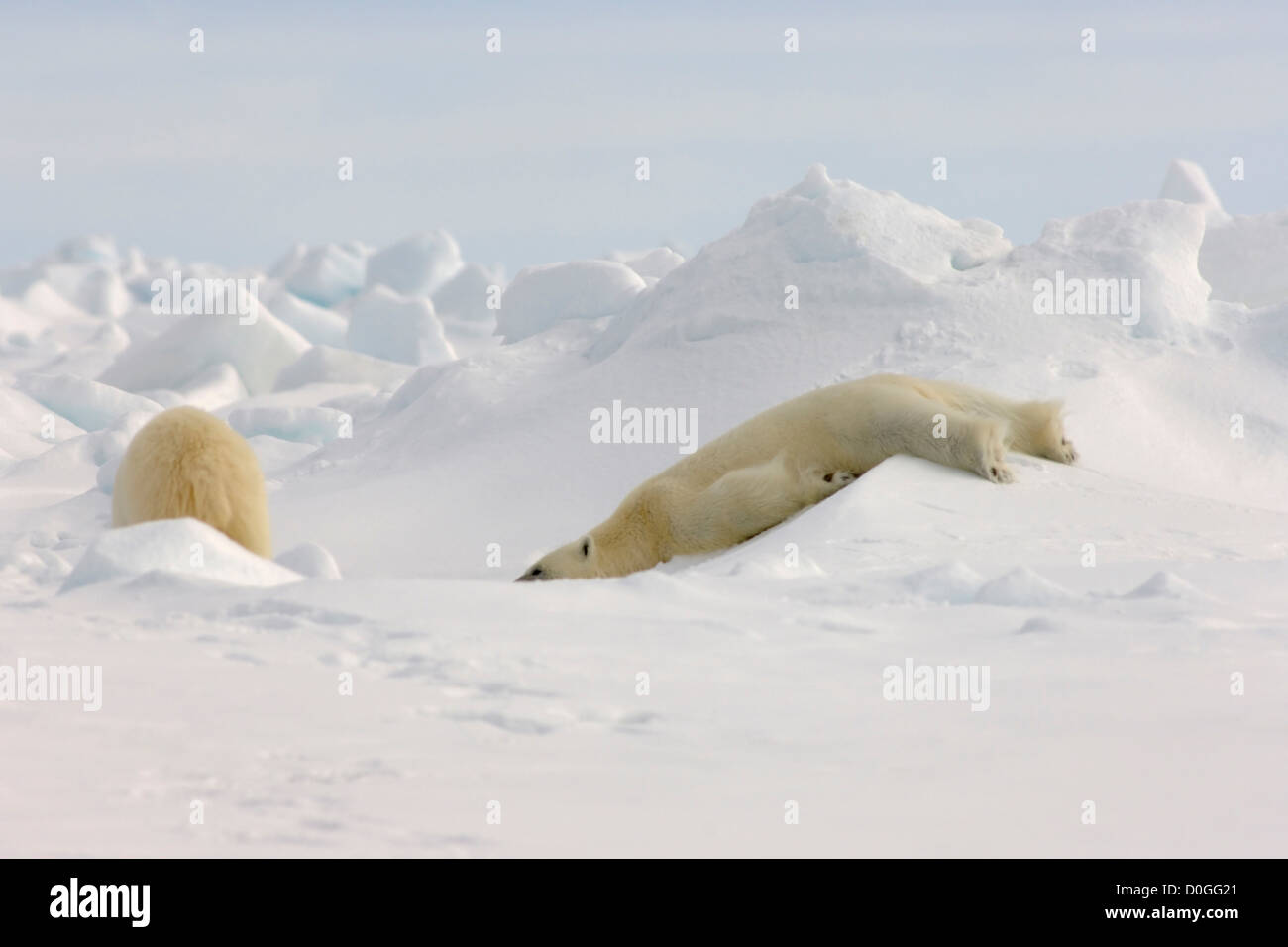 Jumbled ice hi-res stock photography and images - Alamy