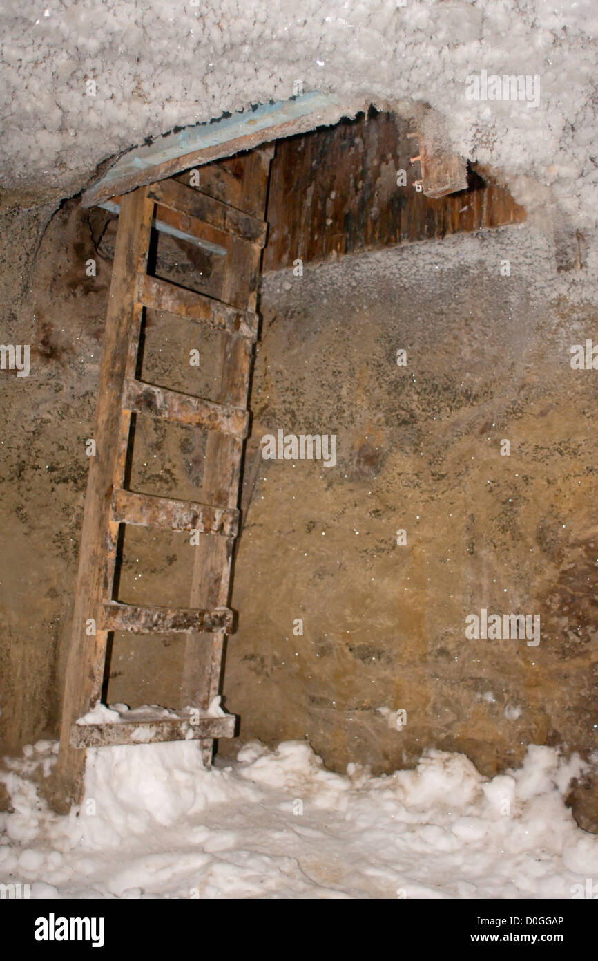 Permafrost in arctic alaska hi-res stock photography and images - Alamy