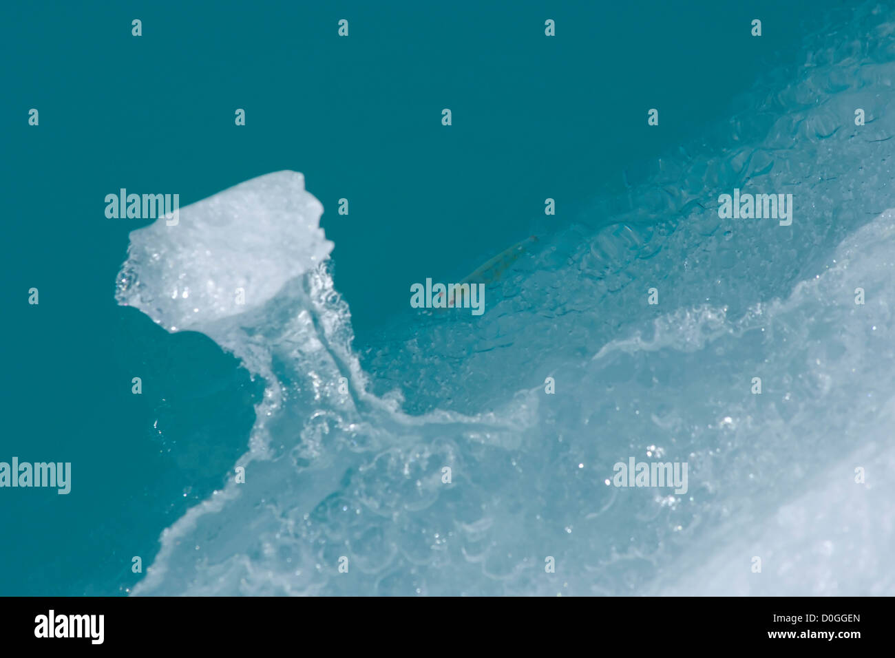 Antarctic Krill on Ice Stock Photo - Alamy
