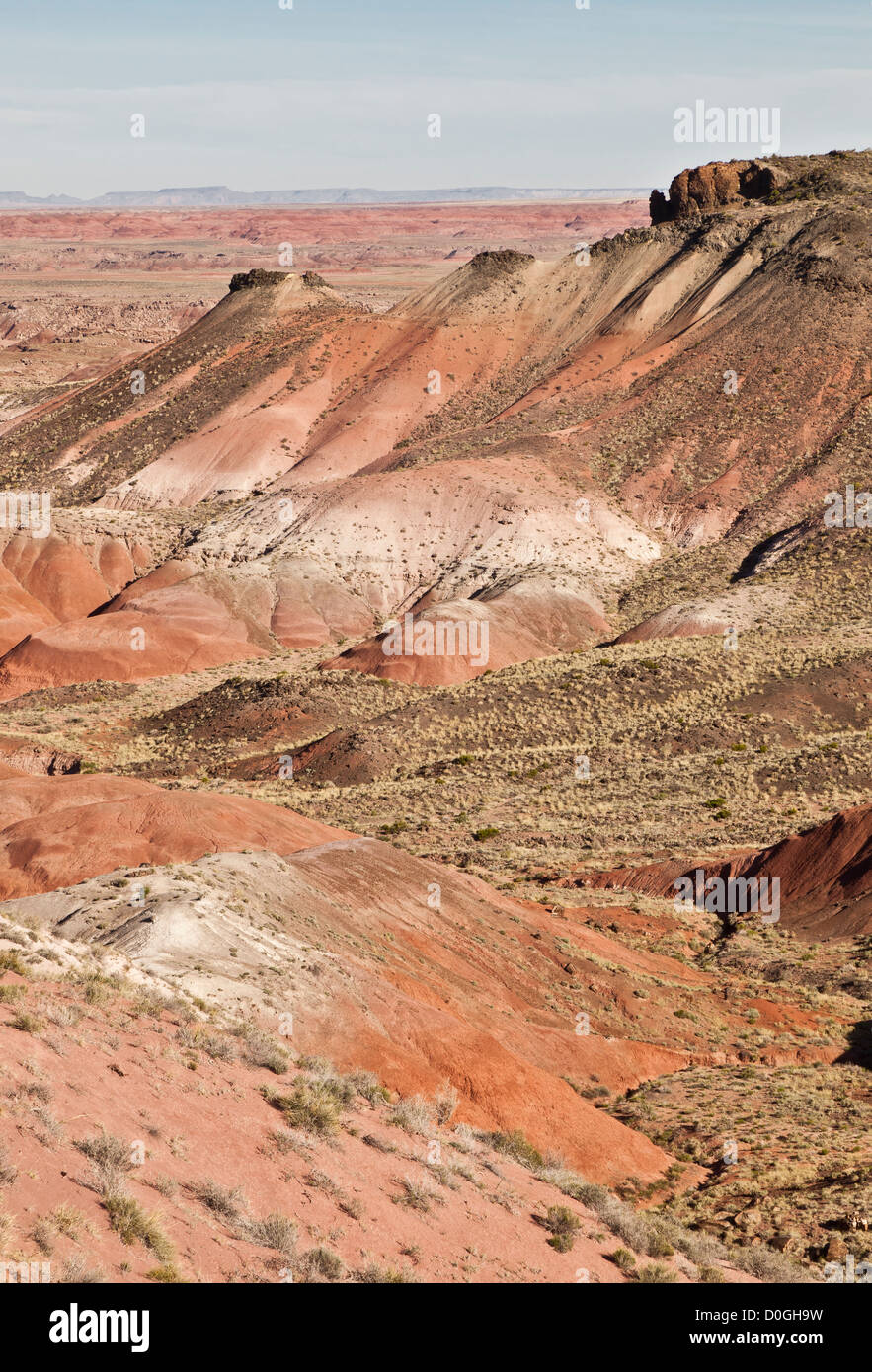 The Painted Desert, Arizona, USA Stock Photo - Alamy