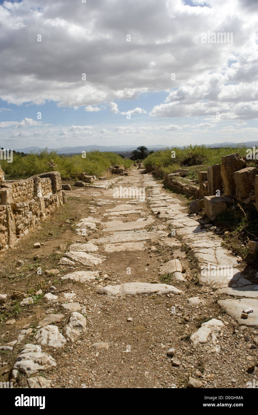 Bulla Regia the ancient Roman city in Northern Tunisia Stock Photo - Alamy