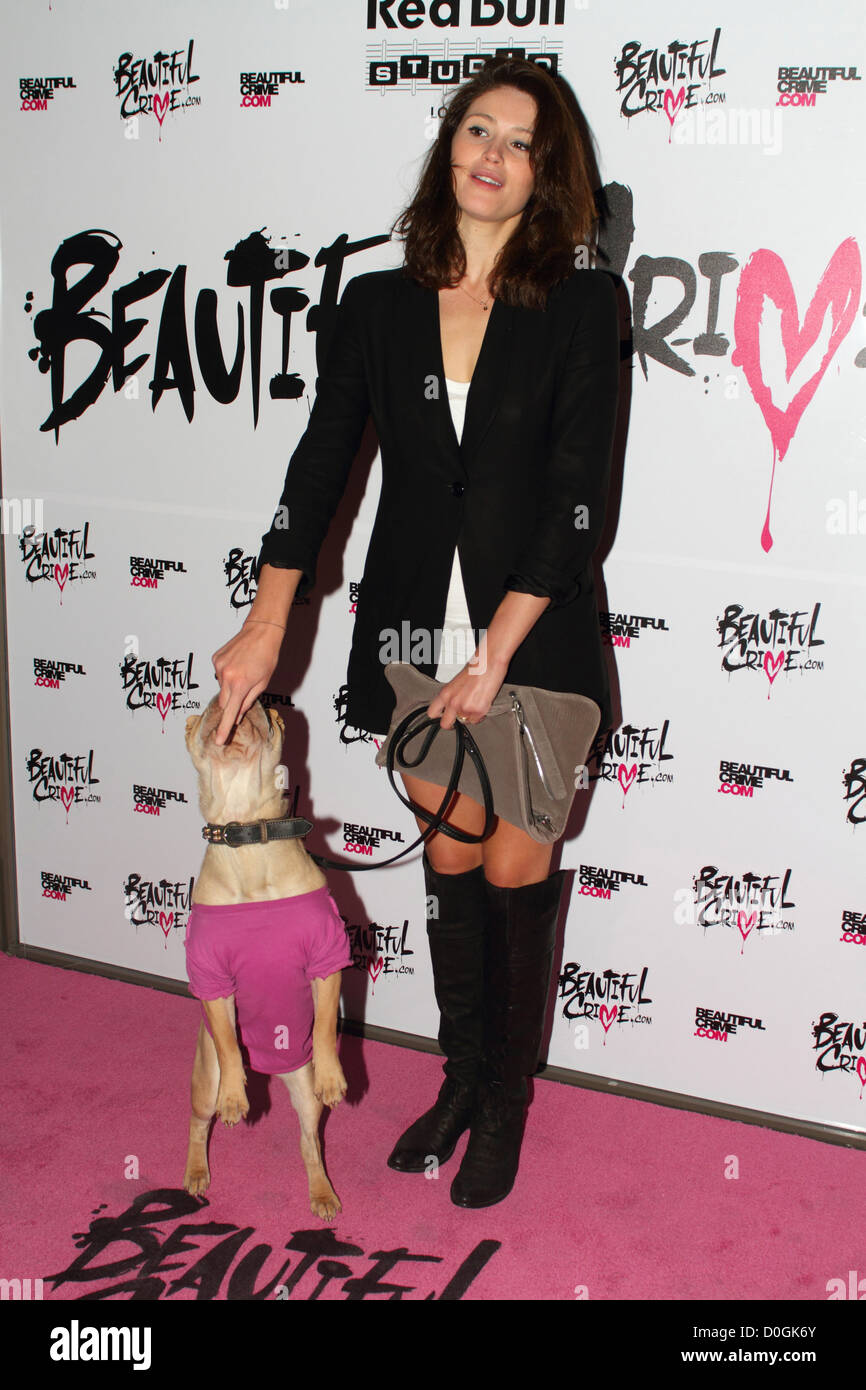 Gemma arterton her dog hendrix hi-res stock photography and images - Alamy