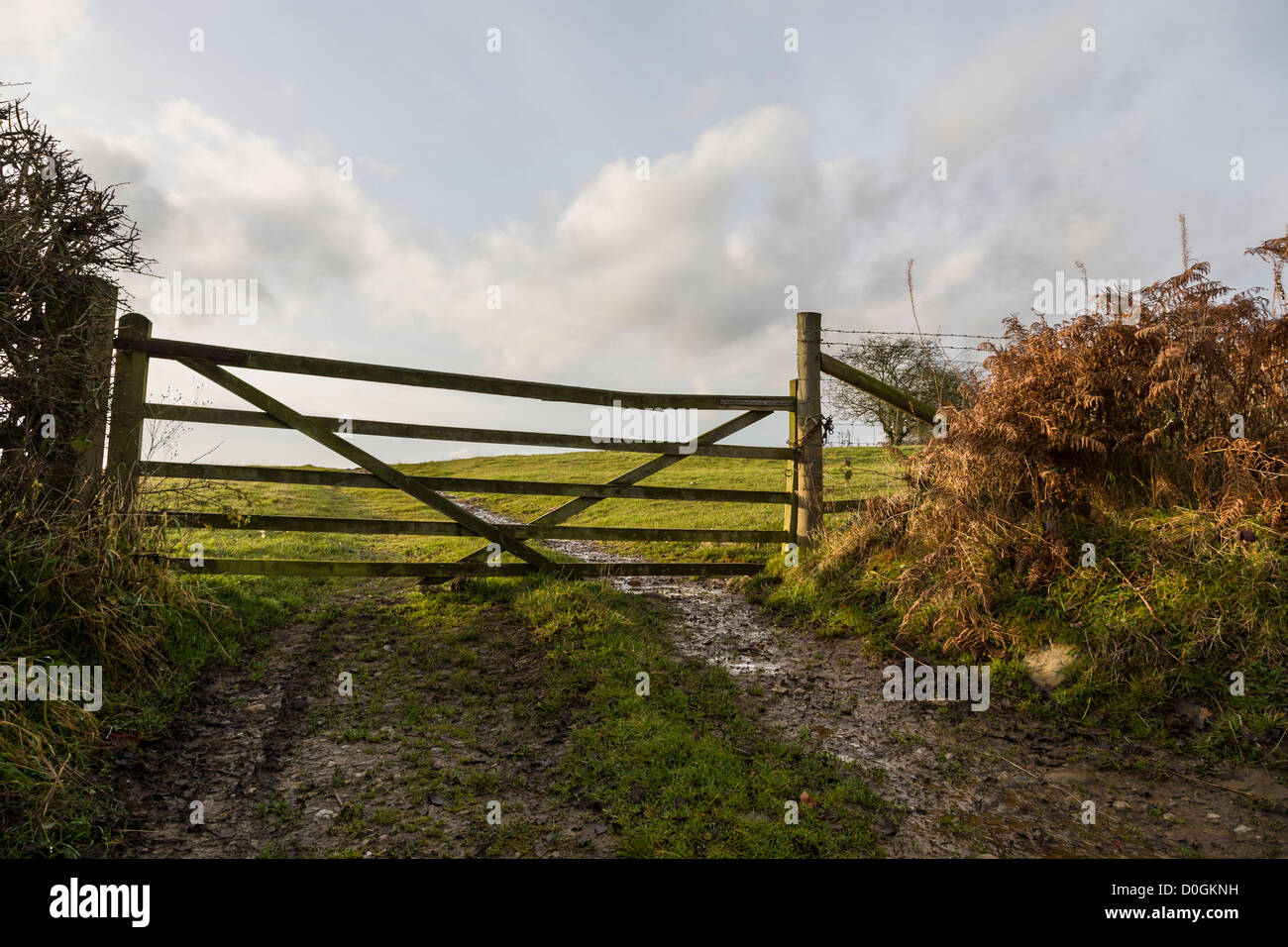 The low autumn sun shines through a field gateway in Rosedale, North ...