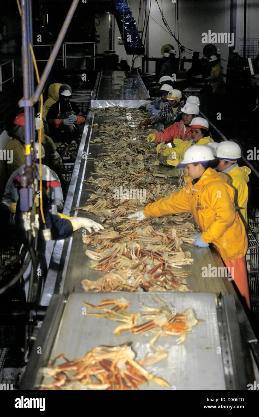 Tanner crab hi-res stock photography and images - Alamy